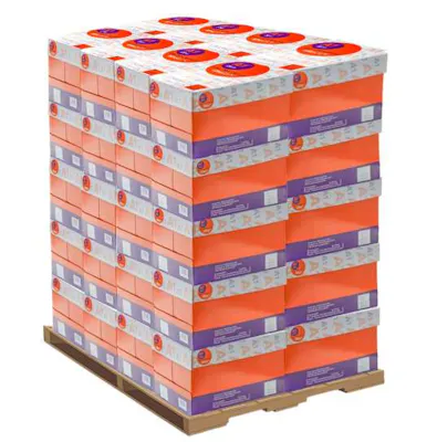 Pallet of Copy Paper | DollarDays