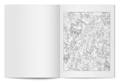 Bulk Adult Coloring Book Sets - 24 Pages, Colored Pencils - DollarDays