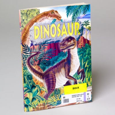 Wholesale Dinosaurs Coloring Books - 120 Count