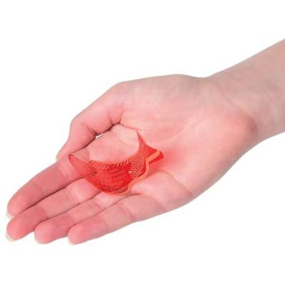 Wholesale Fortune Teller Fish Toy, Red